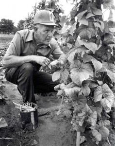 L.V. Steinhoff, My Dad - Cape Girardeau History and Photos