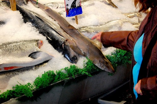 Seattle's Pike Place Market - Cape Girardeau History and Photos