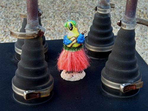 Electrons Died for THIS? - Cape Girardeau History and Photos