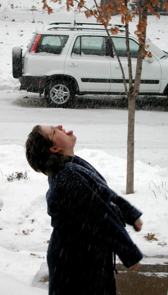 Steinhoff Christmas 2000 - Cape Girardeau History and Photos