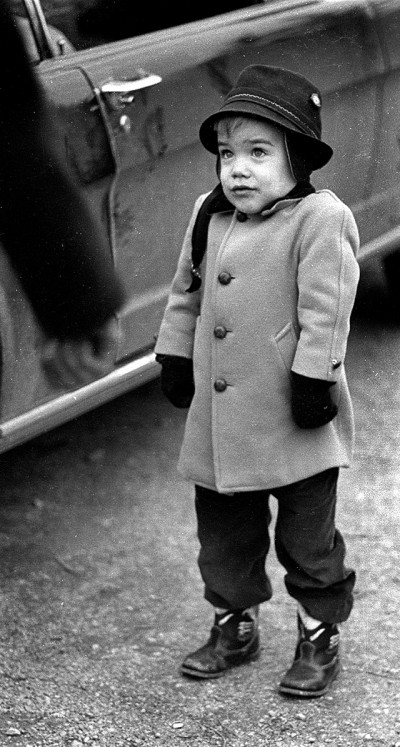 Picking the Perfect Tree - Cape Girardeau History and Photos