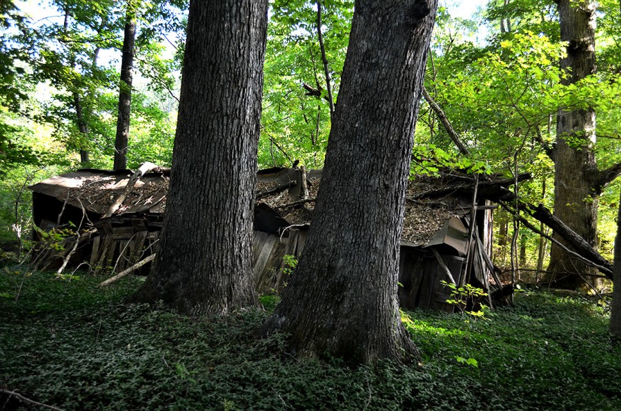 Battle of Mingo Swamp - Cape Girardeau History and Photos