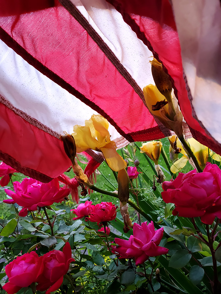 I'm Afraid It's Frayed - Cape Girardeau History and Photos