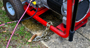 Cape Girardeau History and Photos - News photos that have grown ...