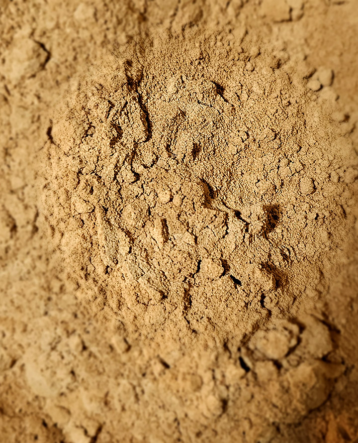 Instant Pot Archives - Cape Girardeau History and Photos